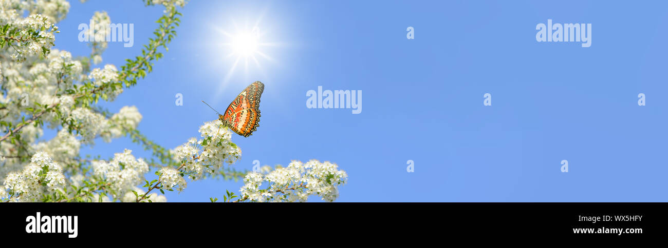 Spring with Butterfly Stock Photo - Alamy