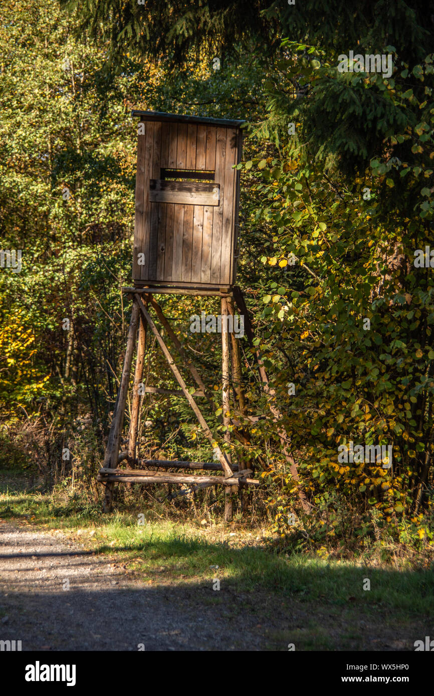 colorful autumn forest with high stand Stock Photo - Alamy