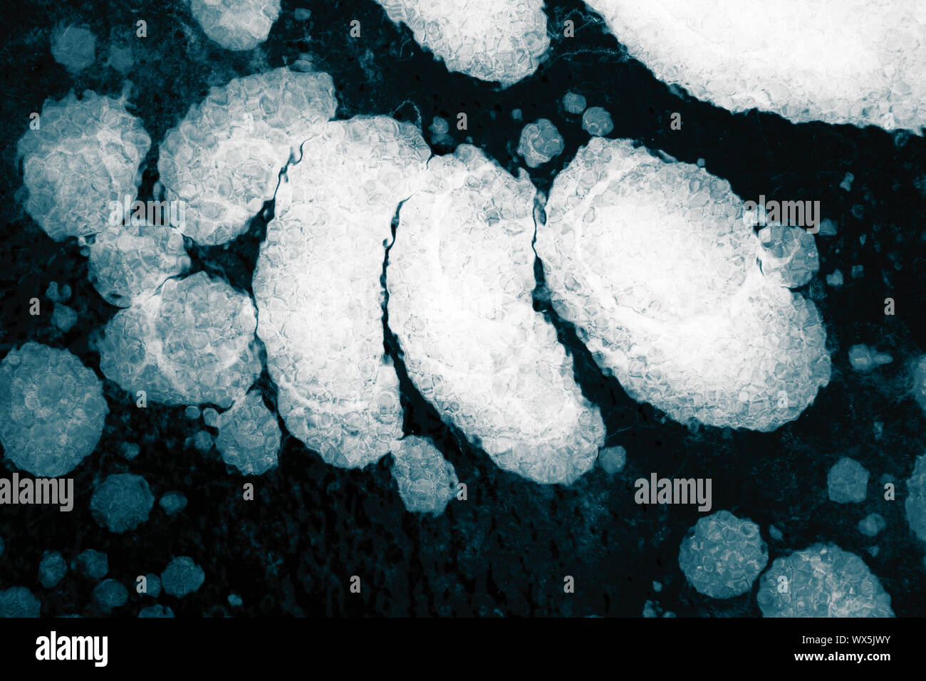 structure, pattern and crystals of newly formed ice Stock Photo - Alamy