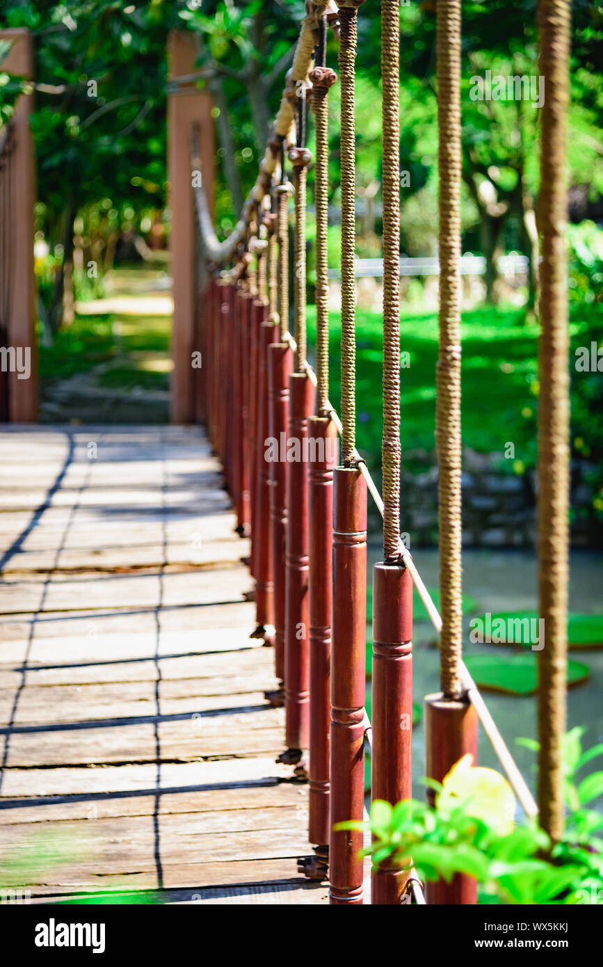 Rainforest trek bridge hi-res stock photography and images - Alamy