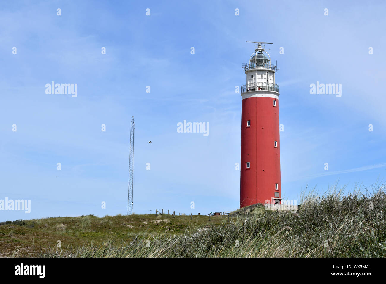 Lighthouse Texel (Netherlands Stock Photo - Alamy