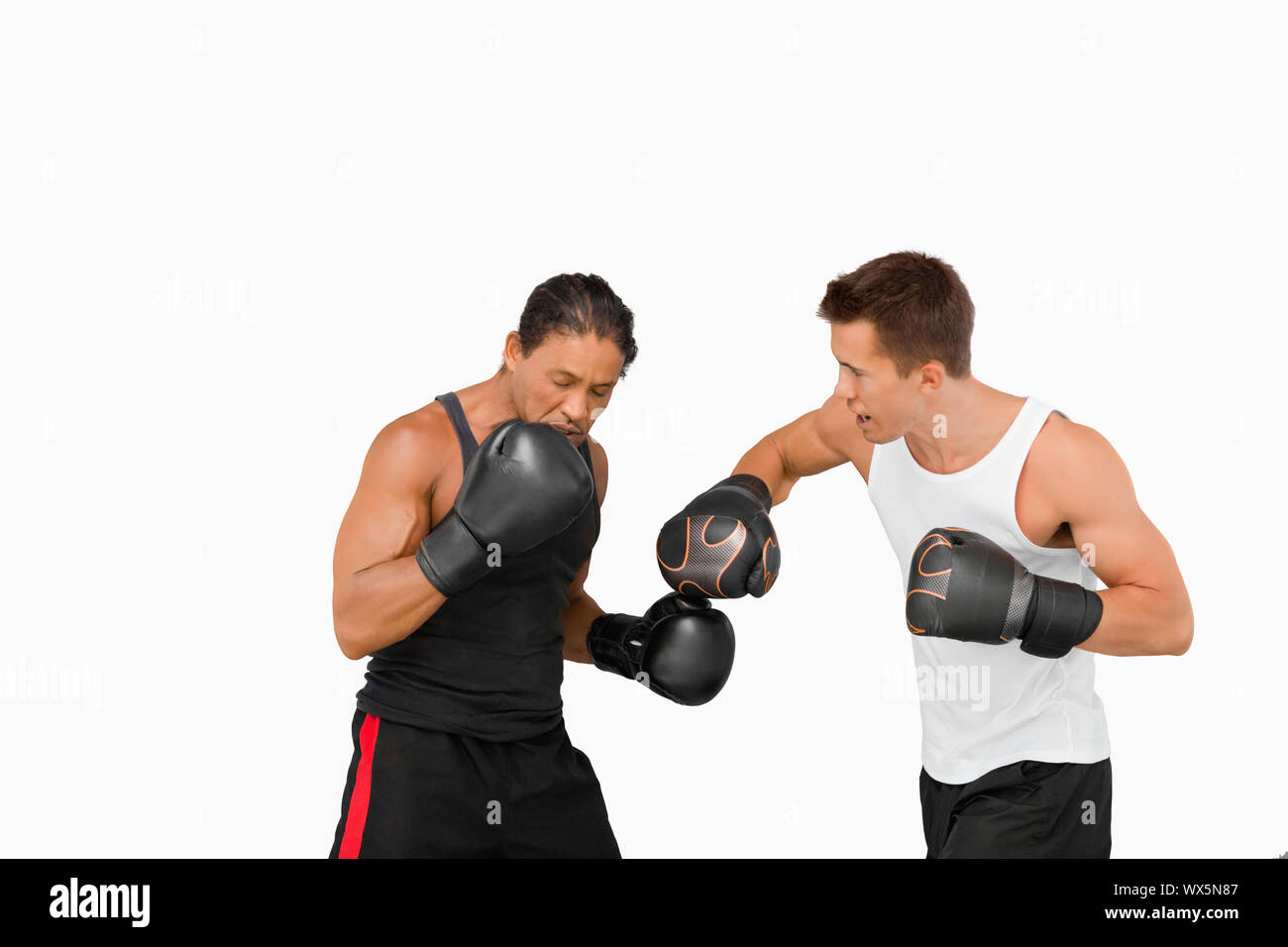 Side view of fighting boxers against a white background Stock Photo - Alamy