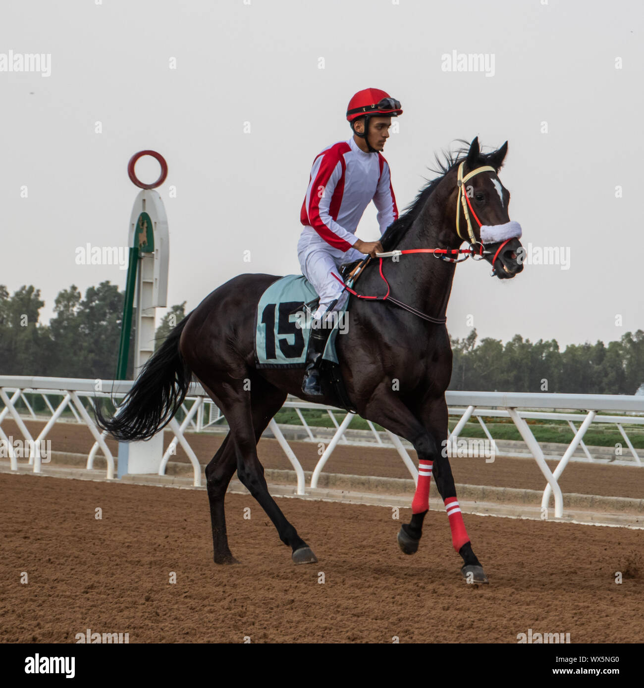 Horse Racing at King Khalid Racetrack, Taif, Saudi Arabia 28/06/2019 Stock Photo - Alamy