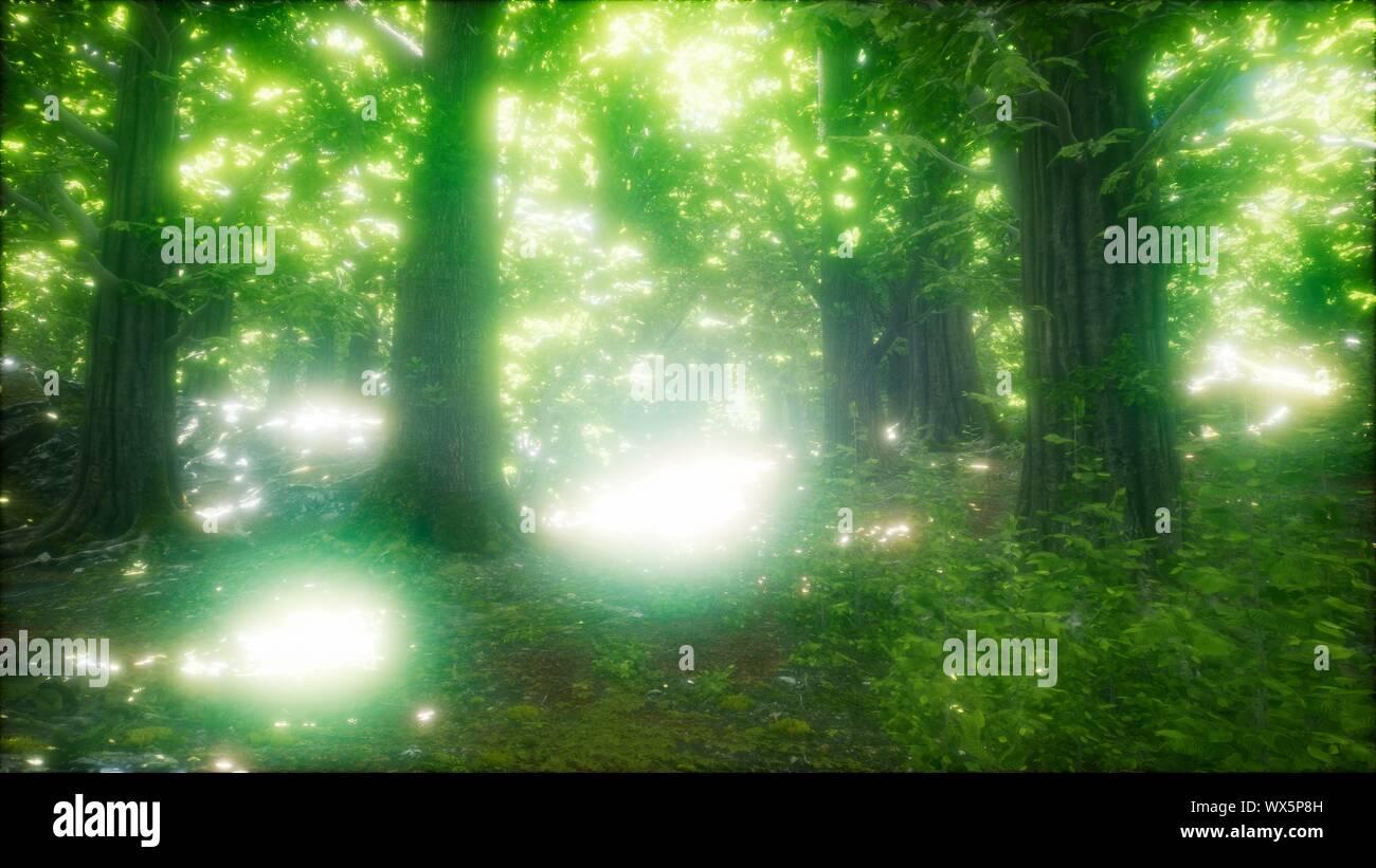 8k forest hi-res stock photography and images - Alamy