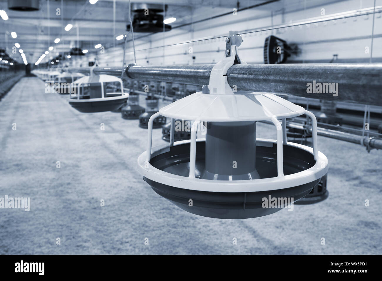 automated poultry farm Stock Photo - Alamy