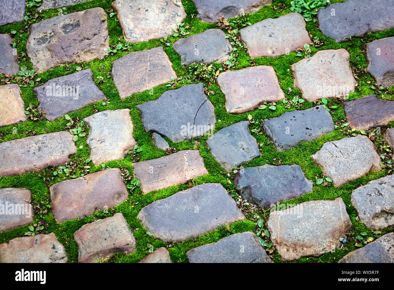 pavement from beautiful pebbles as background Stock Photo - Alamy