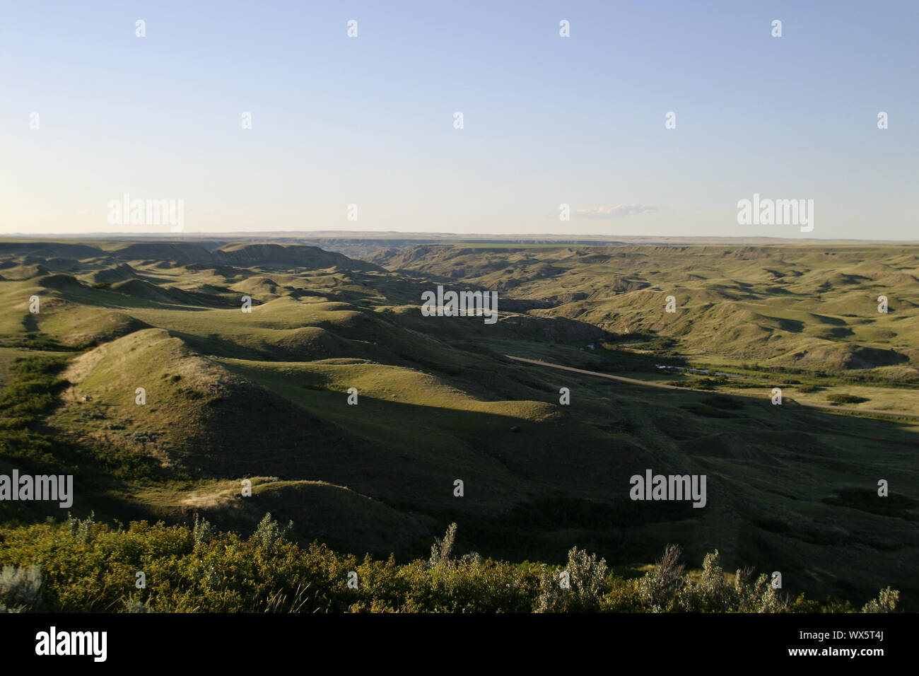 Cowboys on a cattle round up Stock Photo - Alamy