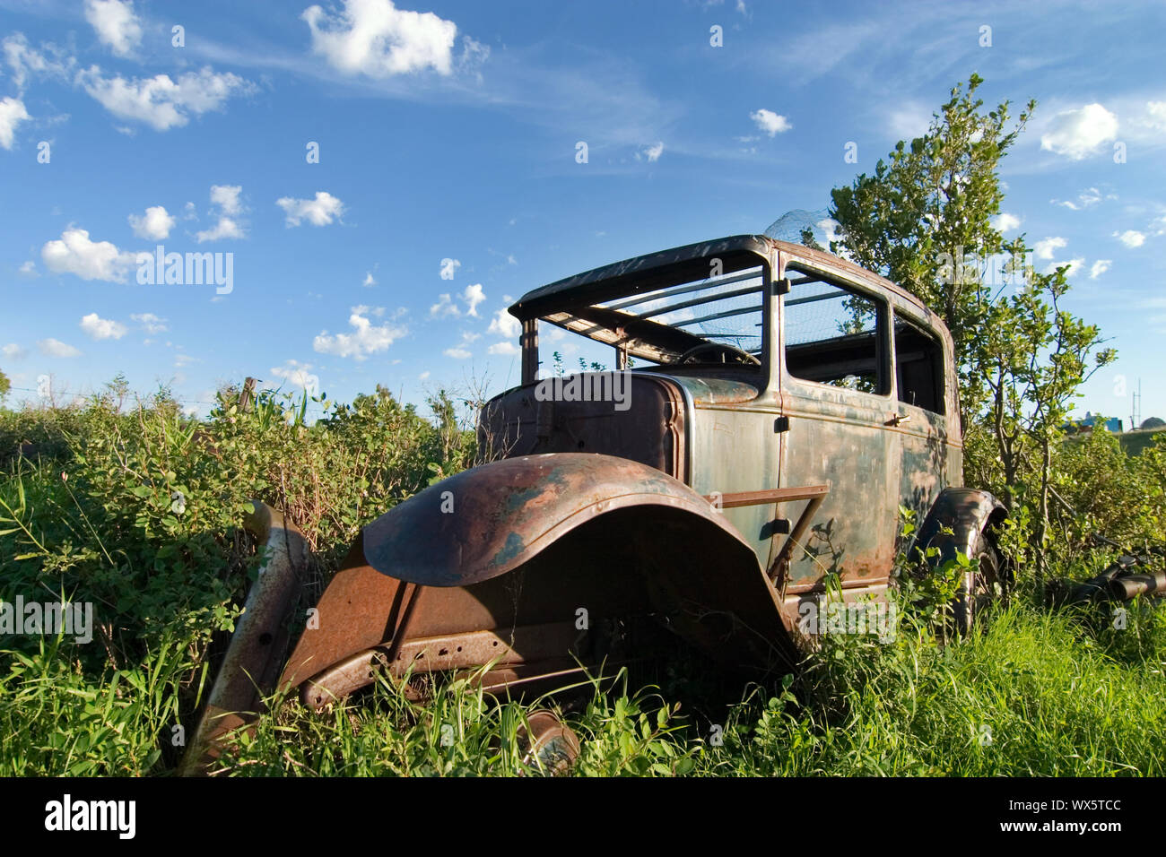 Overgrown Antique Car Stock Photo - Alamy