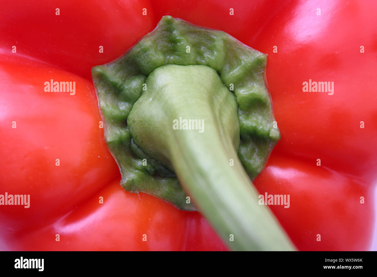 Closeup of a red bell pepper with red and green colors Stock Photo - Alamy