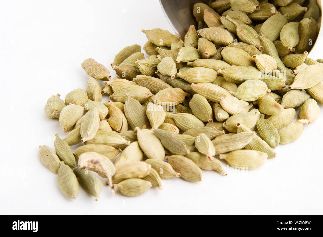 Cardamom ( Elettaria cardamomum Stock Photo - Alamy