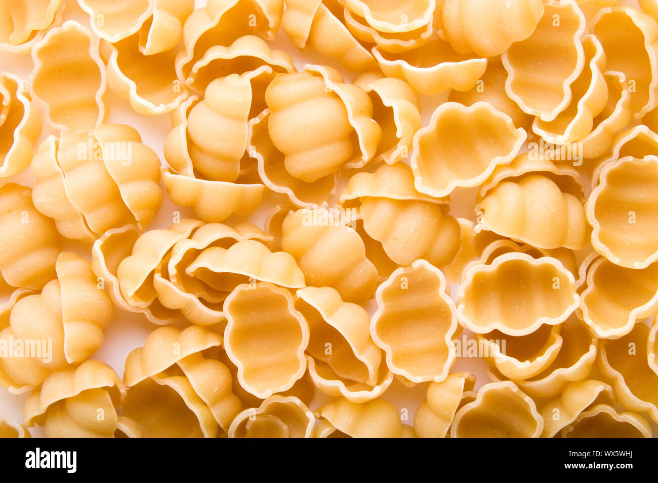 Bulk sea shell pasta background Stock Photo - Alamy