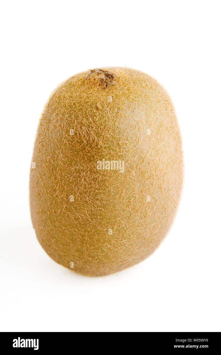 A single kiwi fruit isolated on white Stock Photo - Alamy