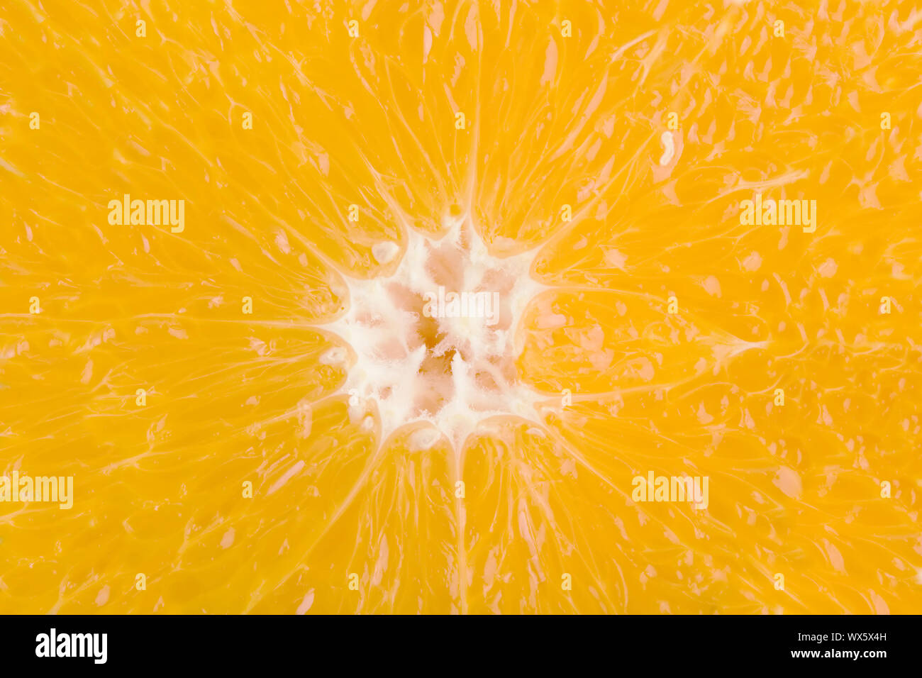 Orange Slice Detail Stock Photo - Alamy