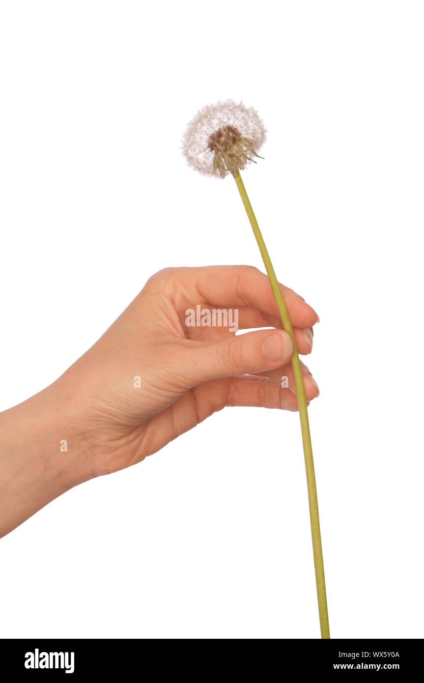 A586 Cut Out Stock Images & Pictures - Alamy