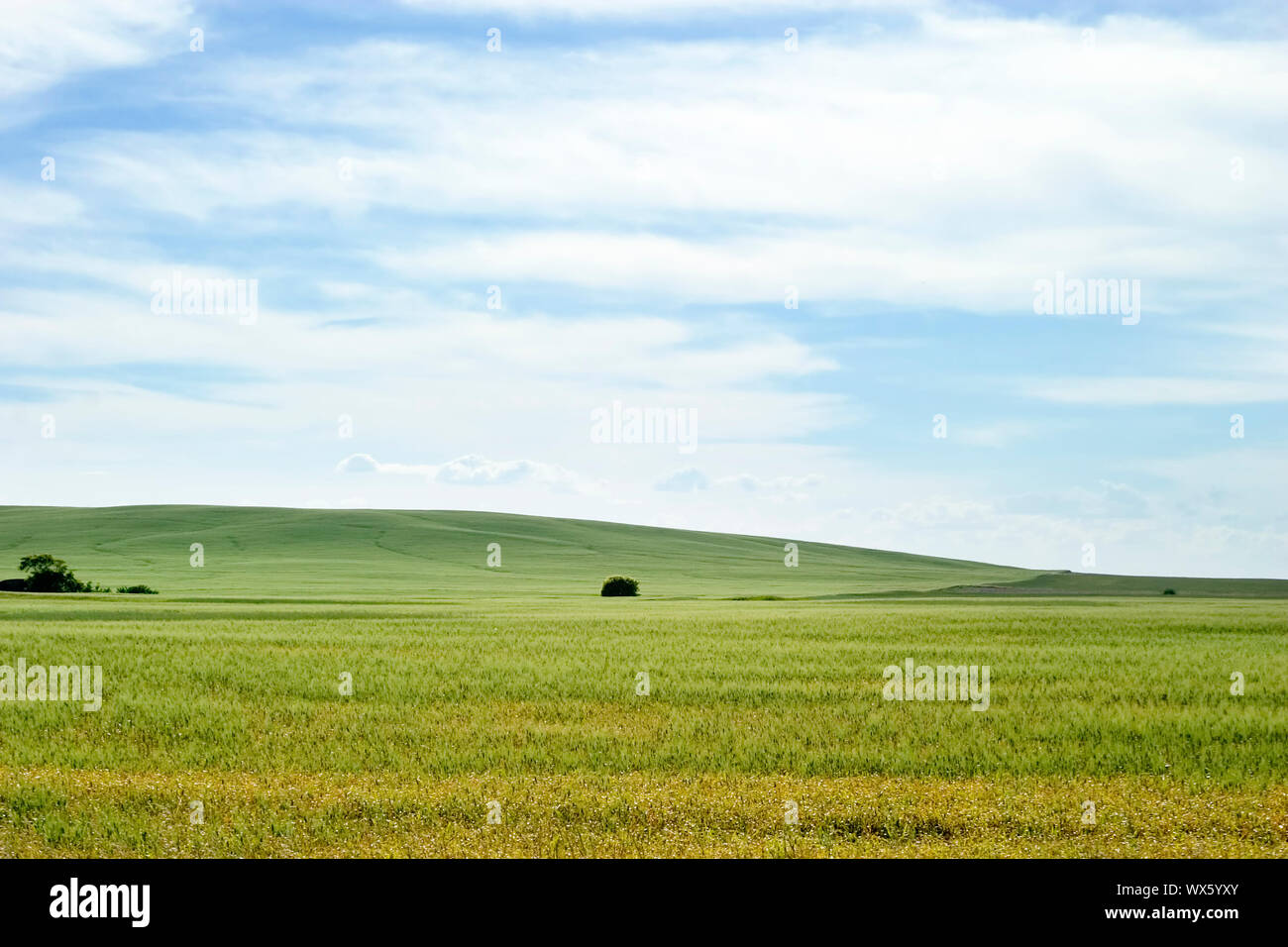 Big beaver saskatchewan hi-res stock photography and images - Alamy