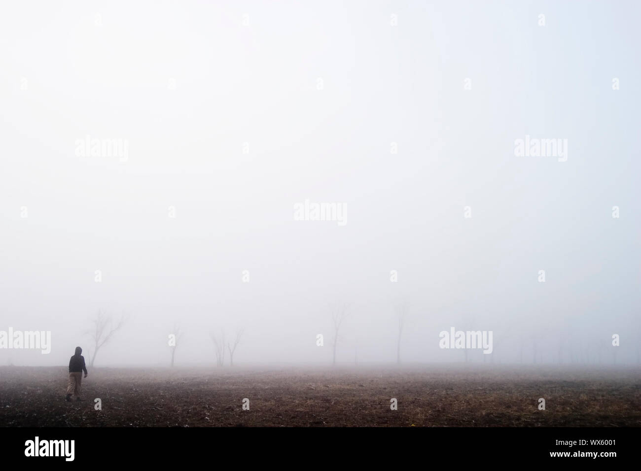 Walking in the fog Stock Photo - Alamy
