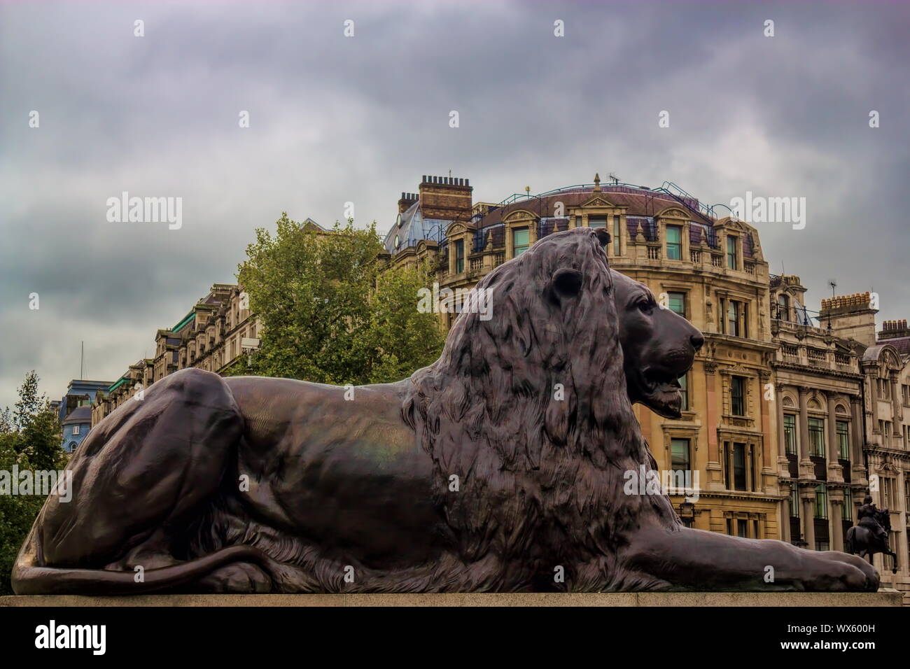 London, Lion at Trafalgar Square Stock Photo - Alamy