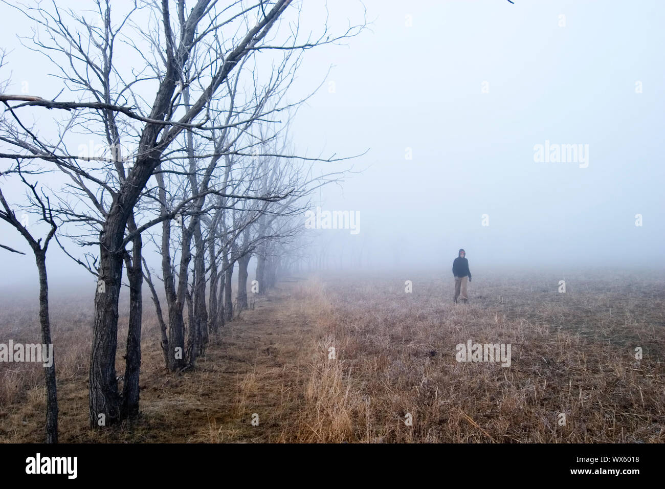 Walking in the fog Stock Photo - Alamy