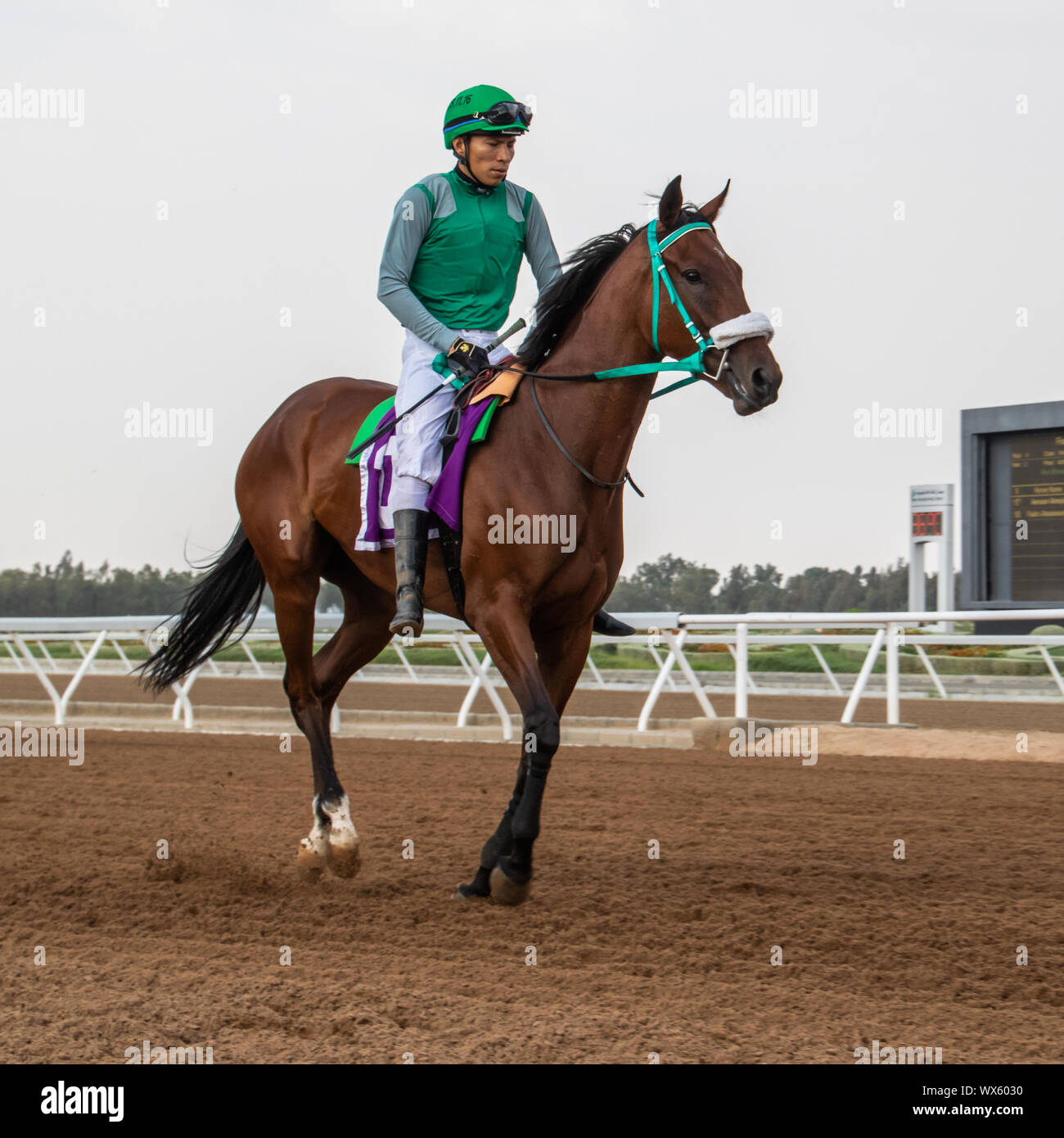 Horse Racing at King Khalid Racetrack, Taif, Saudi Arabia 28/06/2019 ...