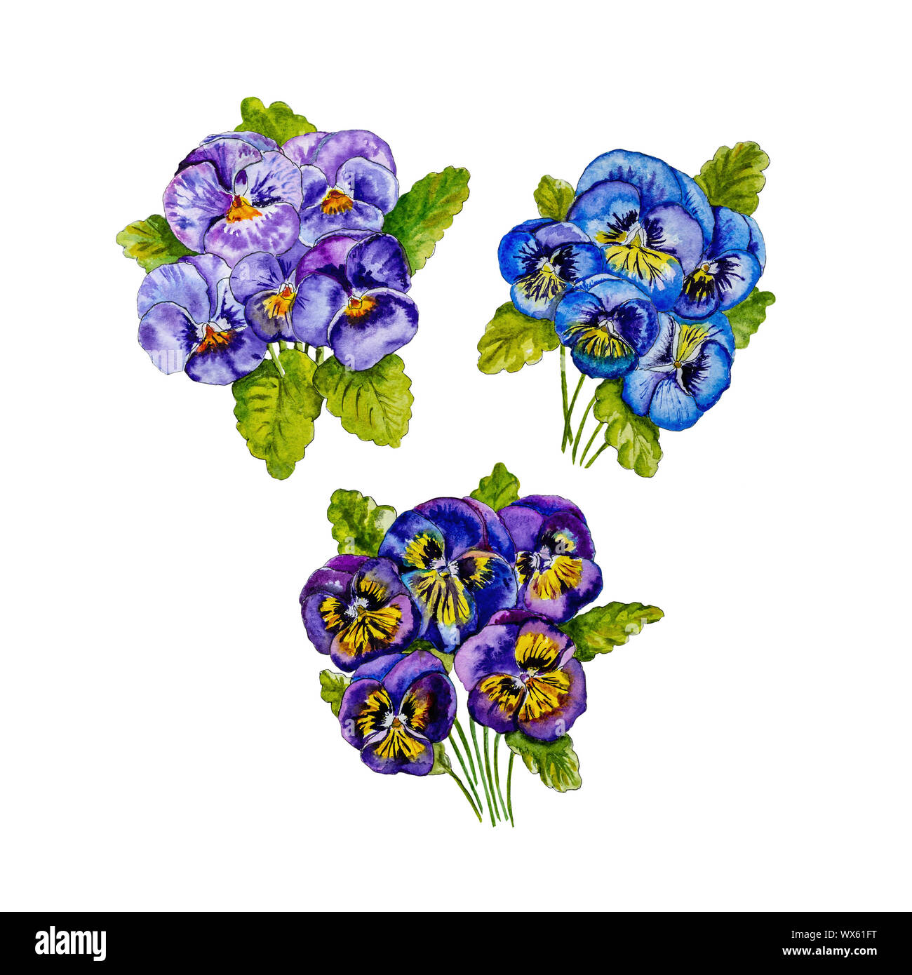 Viola Sketch Abstract