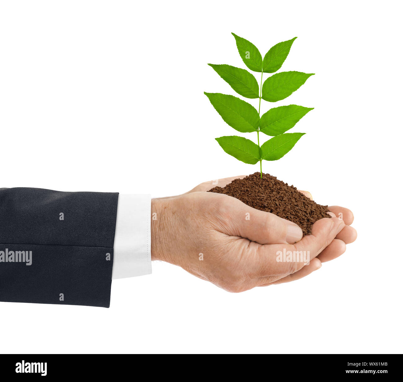 Concept, hands, man, old Cut Out Stock Images & Pictures - Alamy