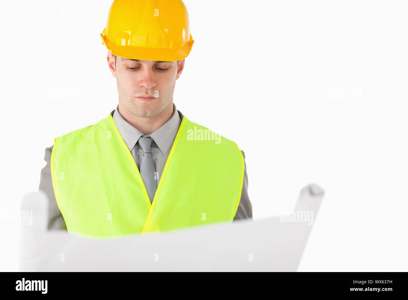 Builder looking at a plan against a white background Stock Photo - Alamy
