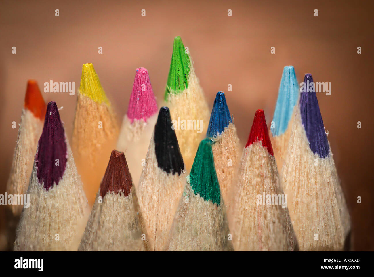 Colored pencils and pencils in rank and file Stock Photo - Alamy
