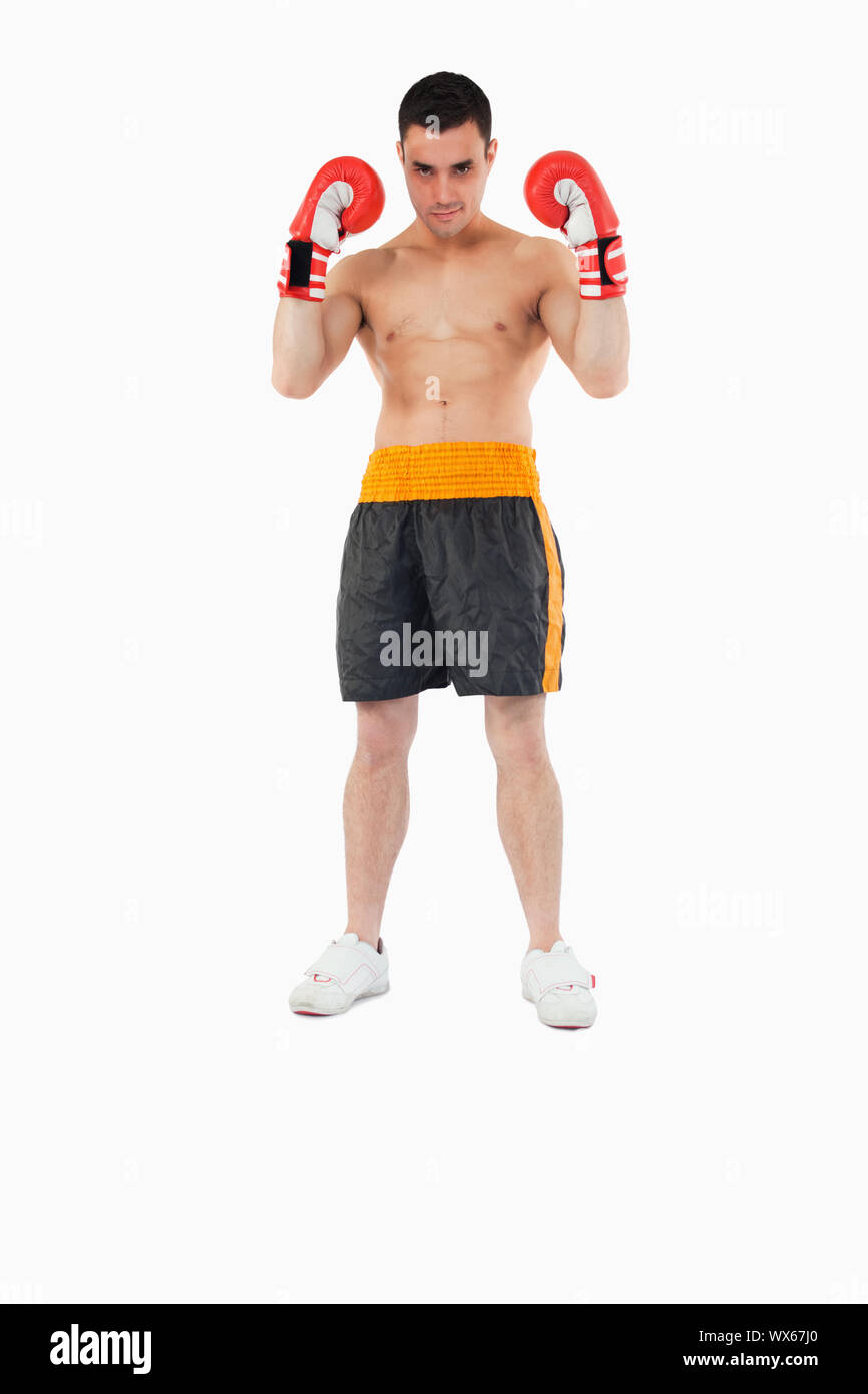 Boxer with strong fighting spirit against a white background Stock ...
