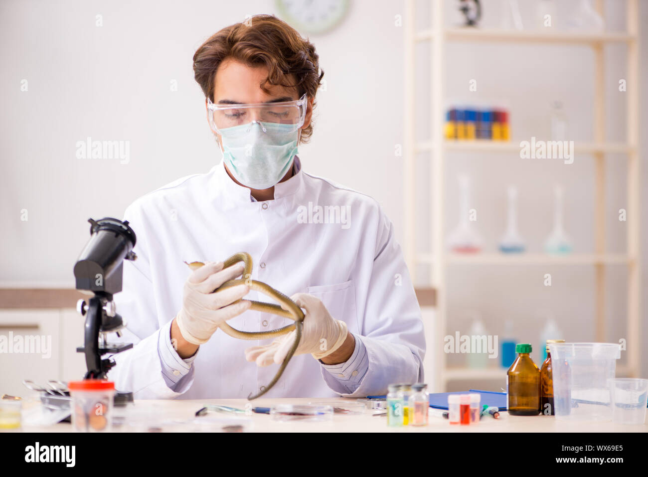 Male scientist extracting poison from snake for drug synthesis Stock ...