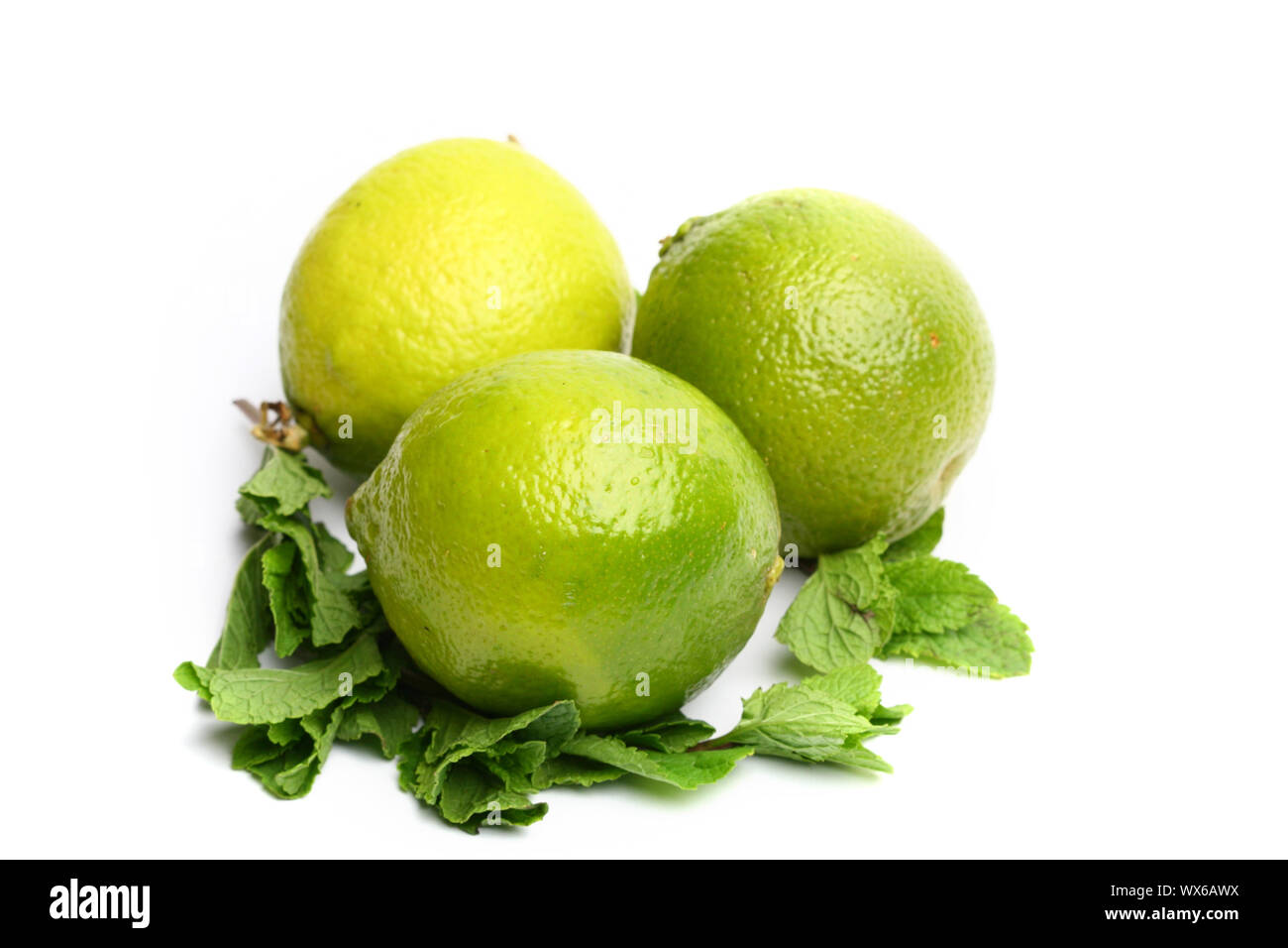 lime and mint isolated on white background Stock Photo - Alamy