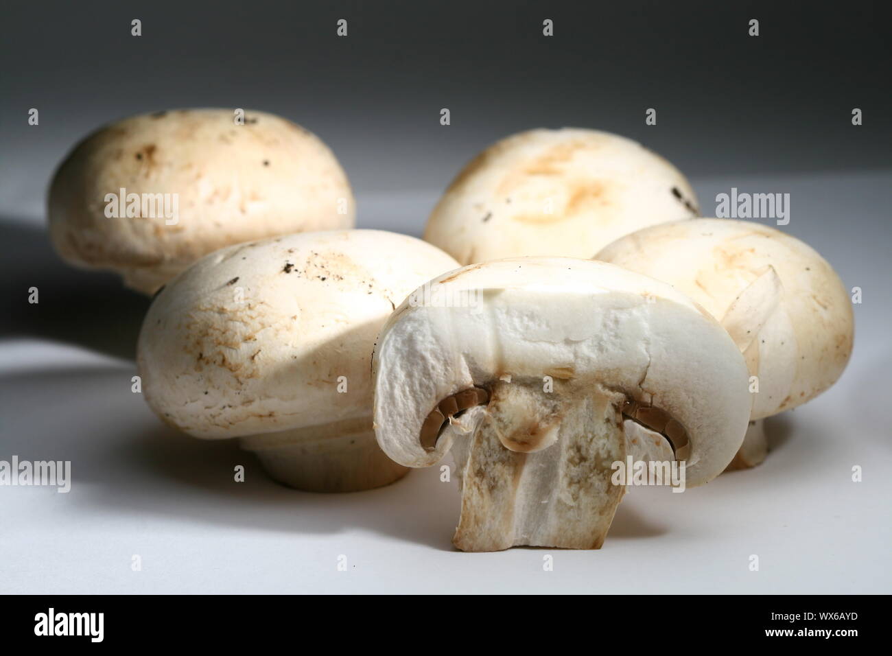 champignon close up food bacground Stock Photo - Alamy