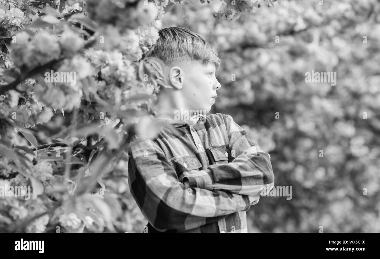 Visit sakura garden. Cute child enjoy warm spring day. Boy teen posing ...