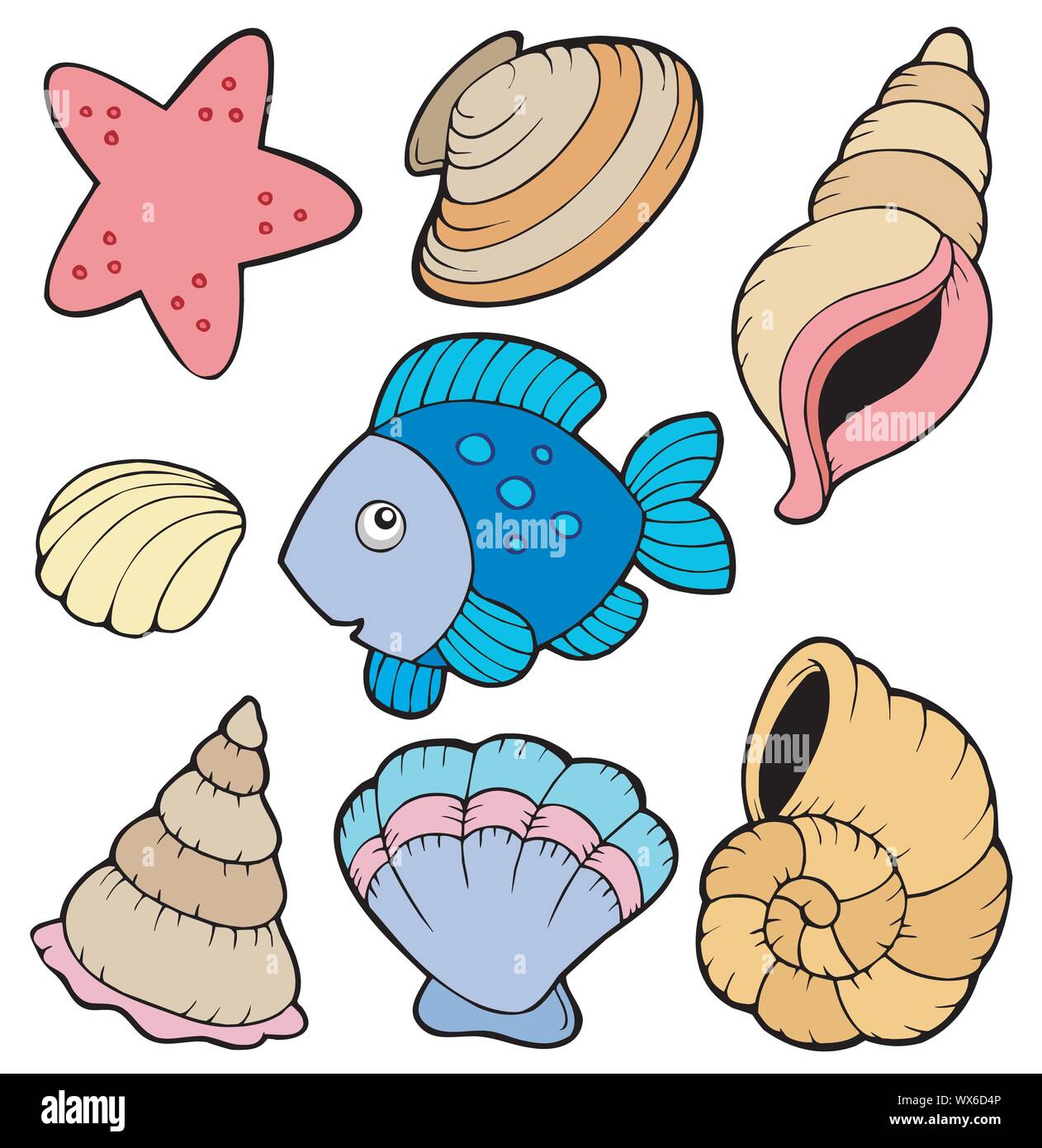 Art shell sea star Stock Vector Images - Alamy