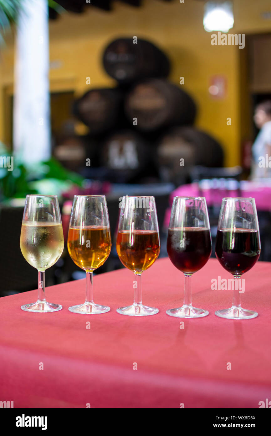 Sherry wine tasting, selection of different jerez fortified wines from ...