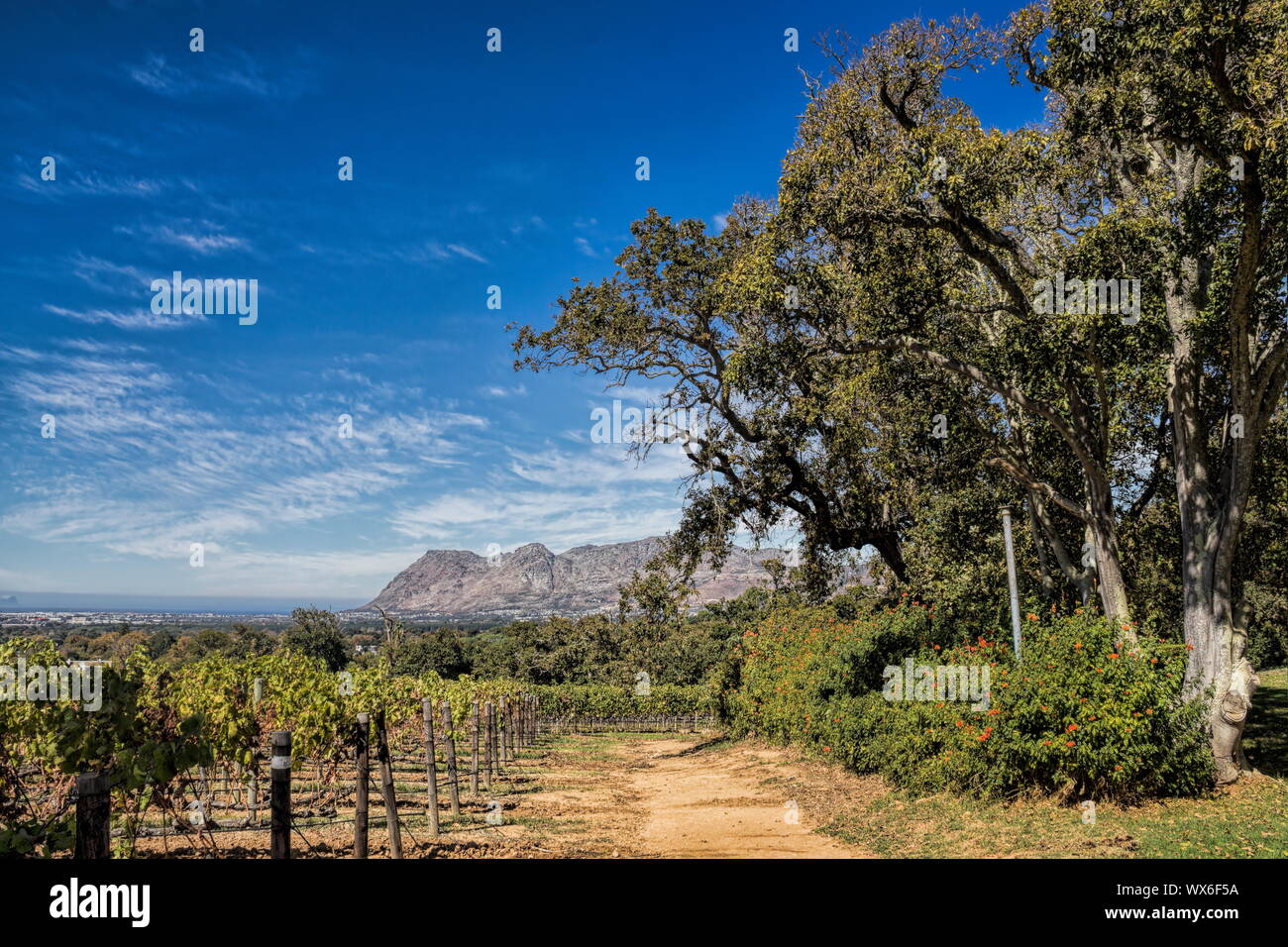 South Africa, Constantia Stock Photo - Alamy