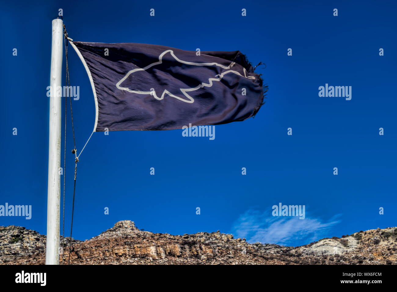 South Africa, shark warning flag Stock Photo - Alamy