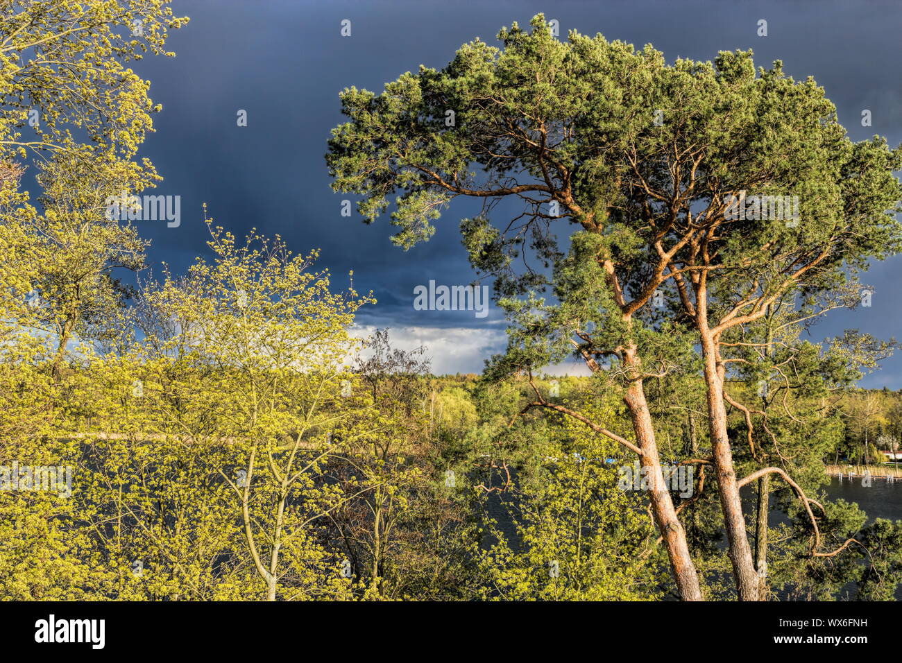 Stormy atmosphere hi-res stock photography and images - Alamy