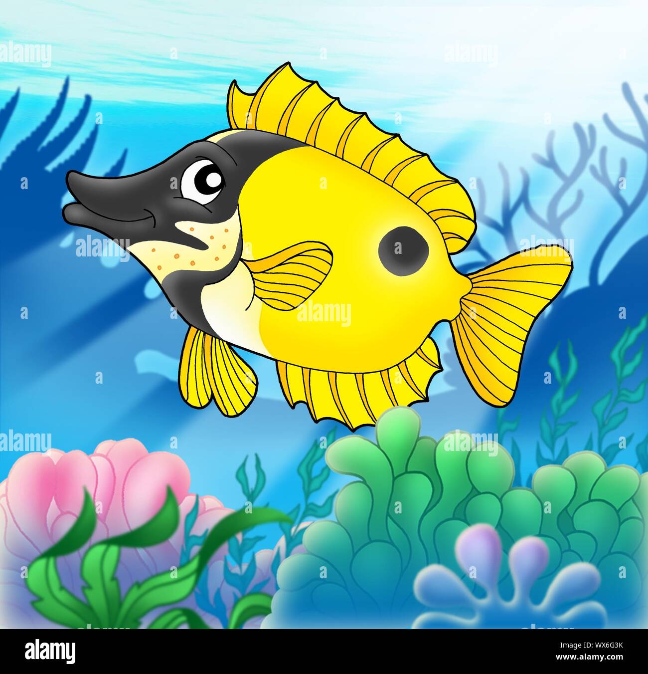 Foxfish hi-res stock photography and images - Alamy