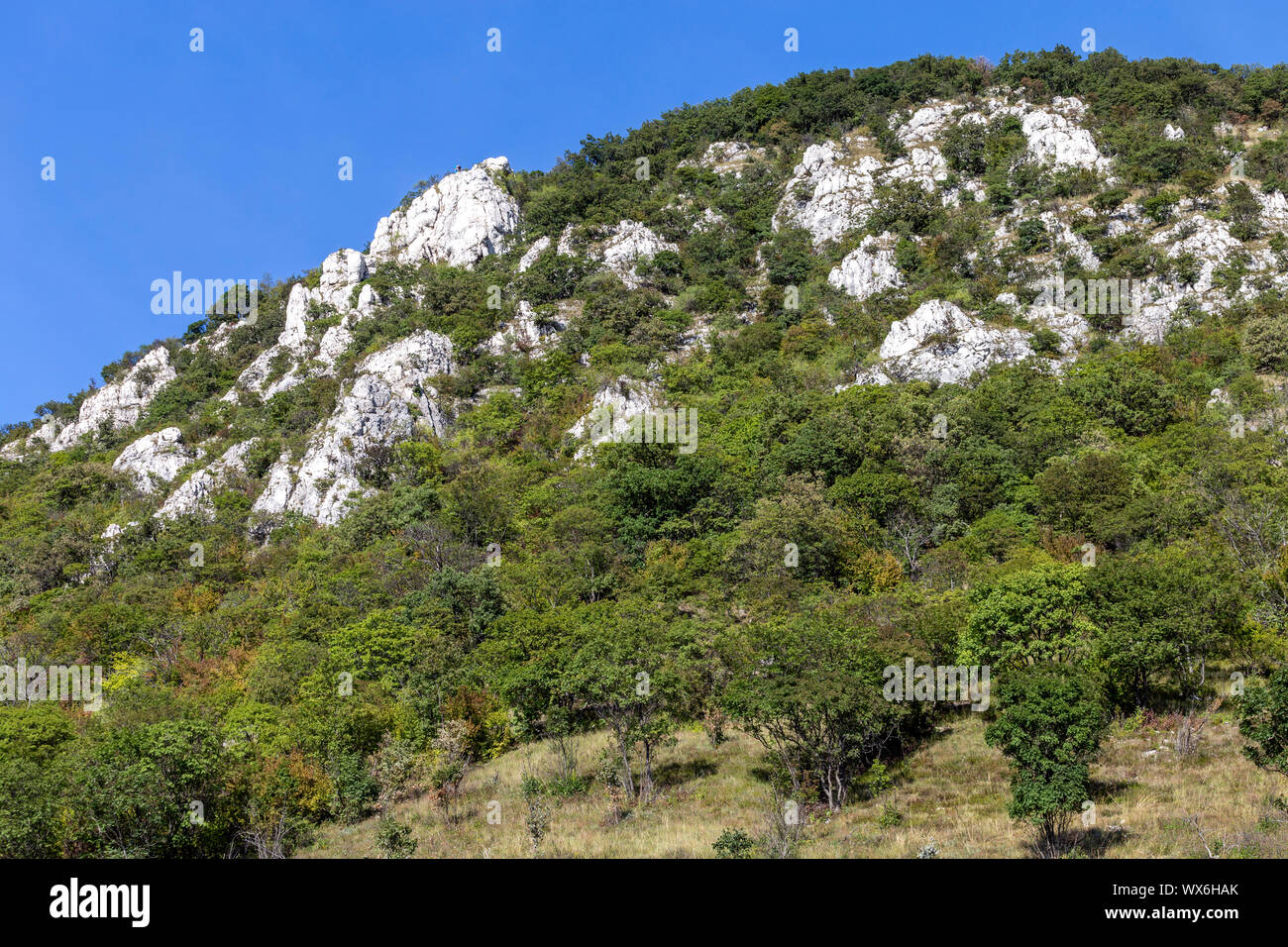 The Pilis mountains at Kesztolc on a hot summer day Stock Photo - Alamy
