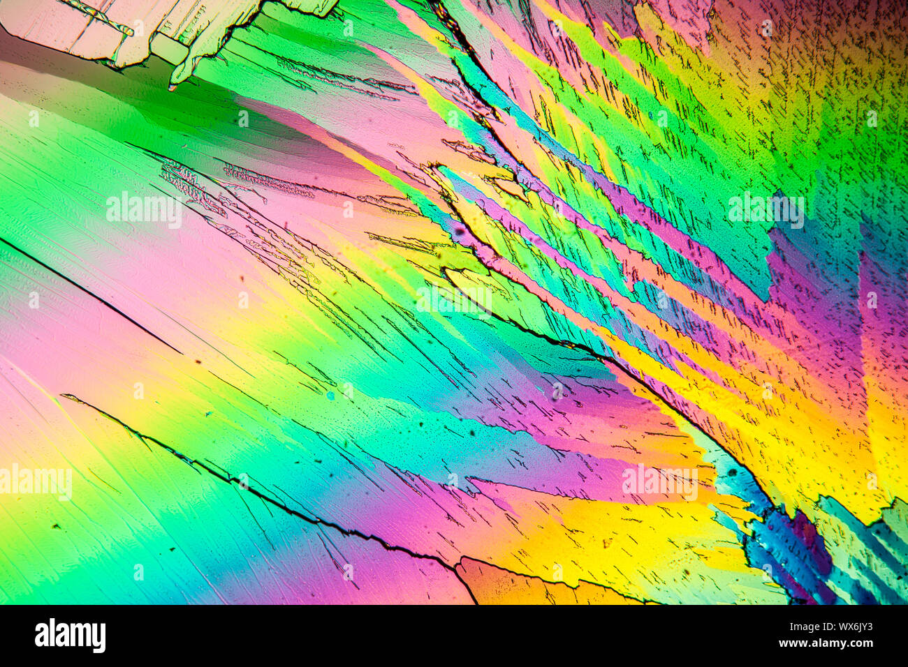 Urea crystals in polarized light Stock Photo - Alamy