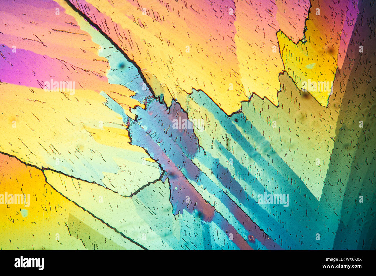 Urea crystals in polarized light Stock Photo - Alamy