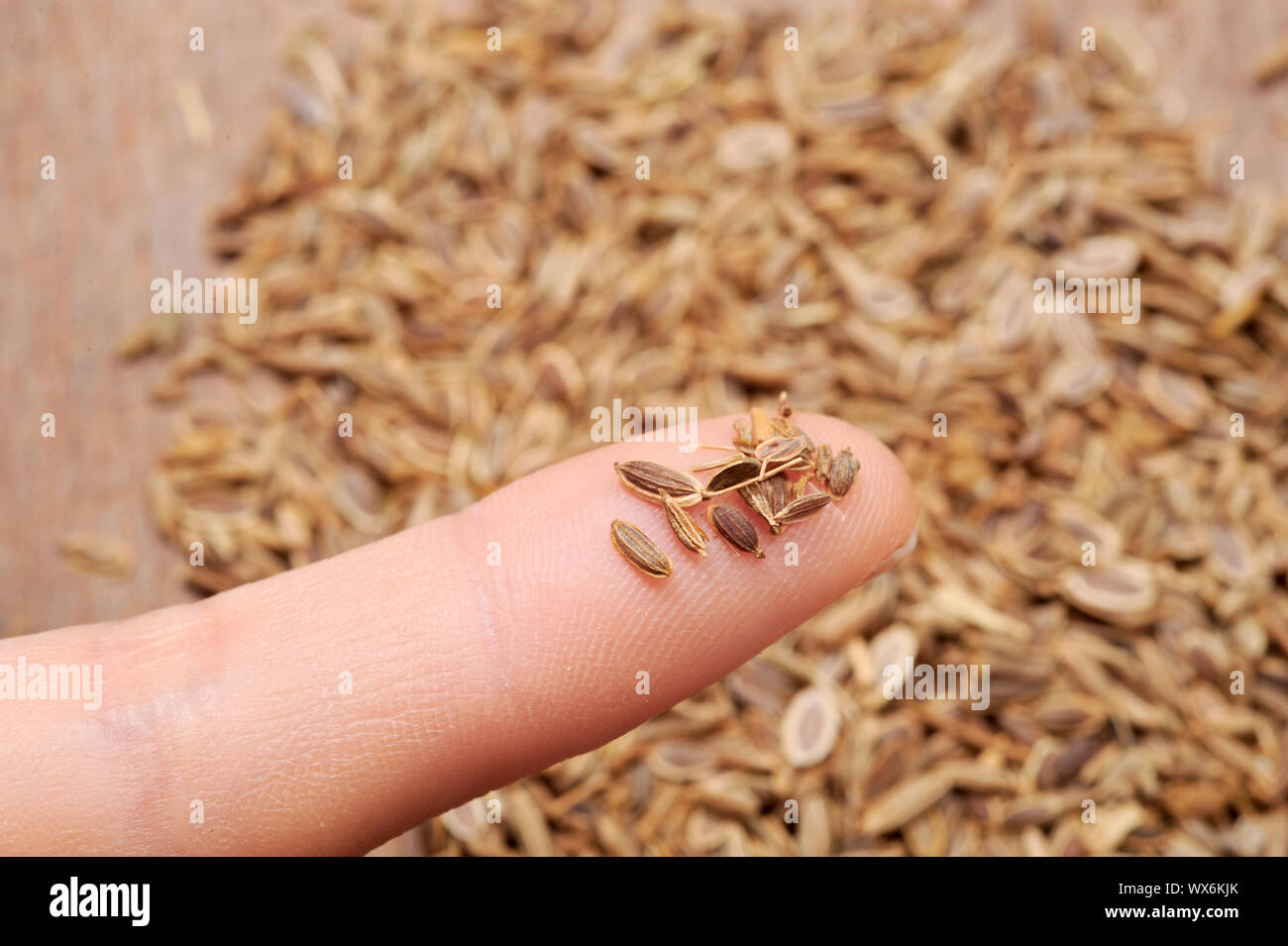 Dried cumin seeds Stock Photo - Alamy