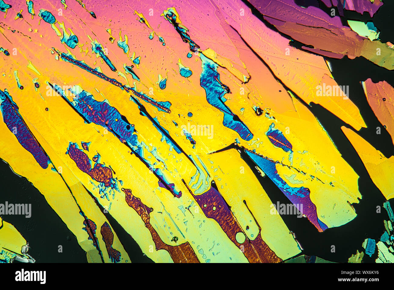 Urea crystals in polarized light Stock Photo - Alamy