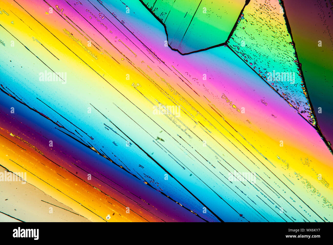 Urea crystals in polarized light Stock Photo - Alamy