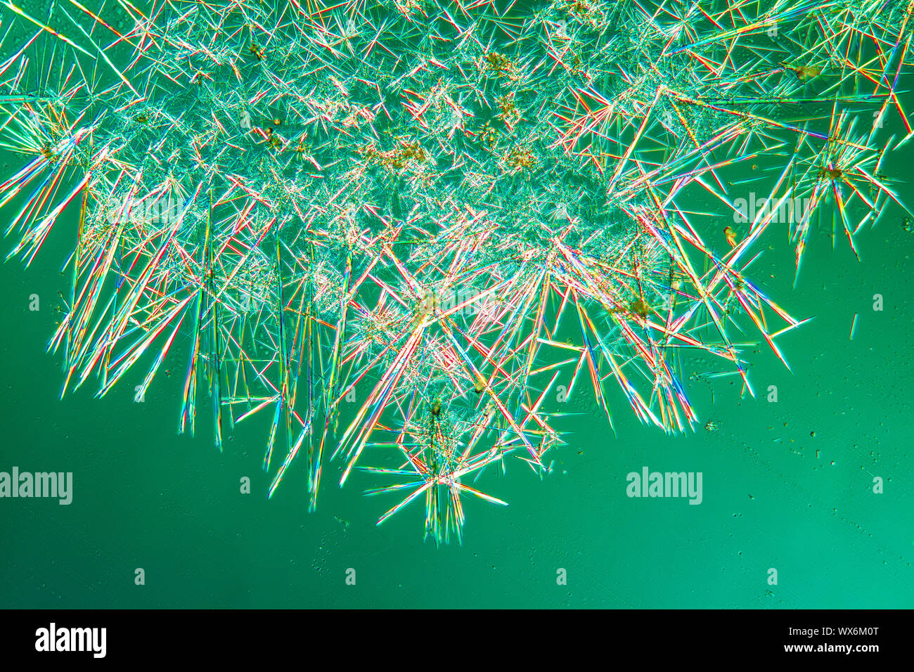 Caffeine crystals in polarized light Stock Photo - Alamy