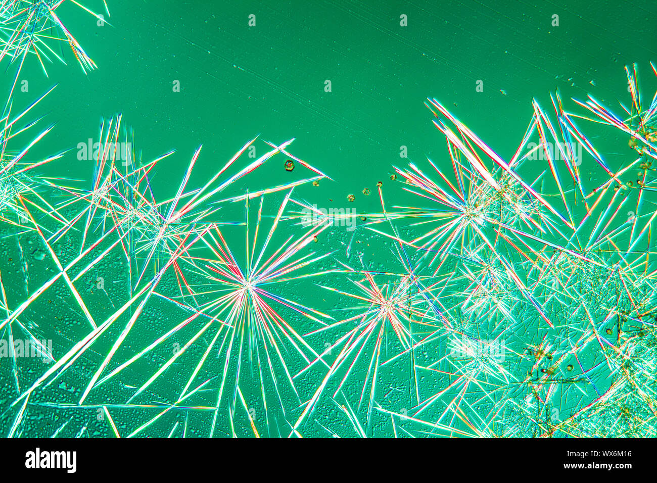 Caffeine crystals in polarized light Stock Photo - Alamy