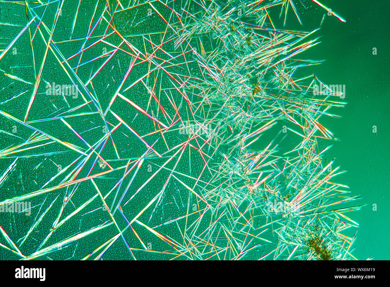 Caffeine crystals in polarized light Stock Photo - Alamy