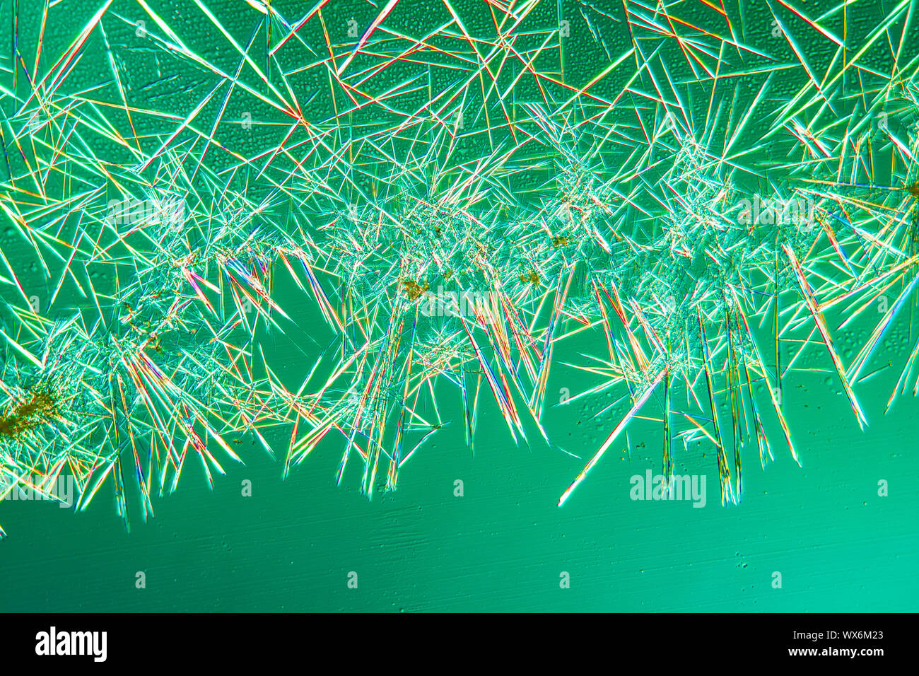 Polarized light microscopy hi-res stock photography and images - Alamy