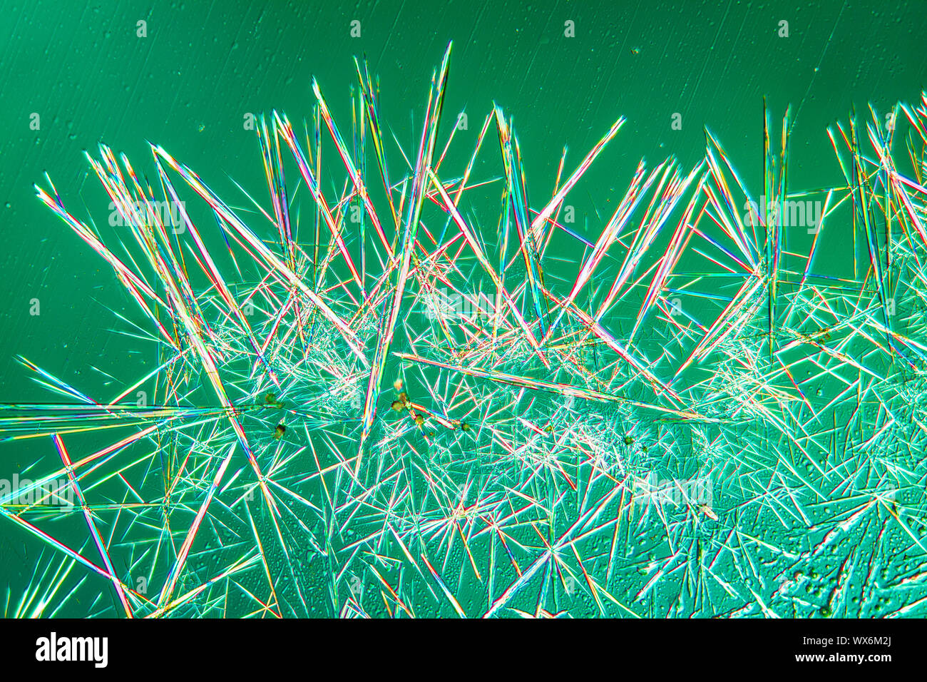 Caffeine crystals in polarized light Stock Photo - Alamy