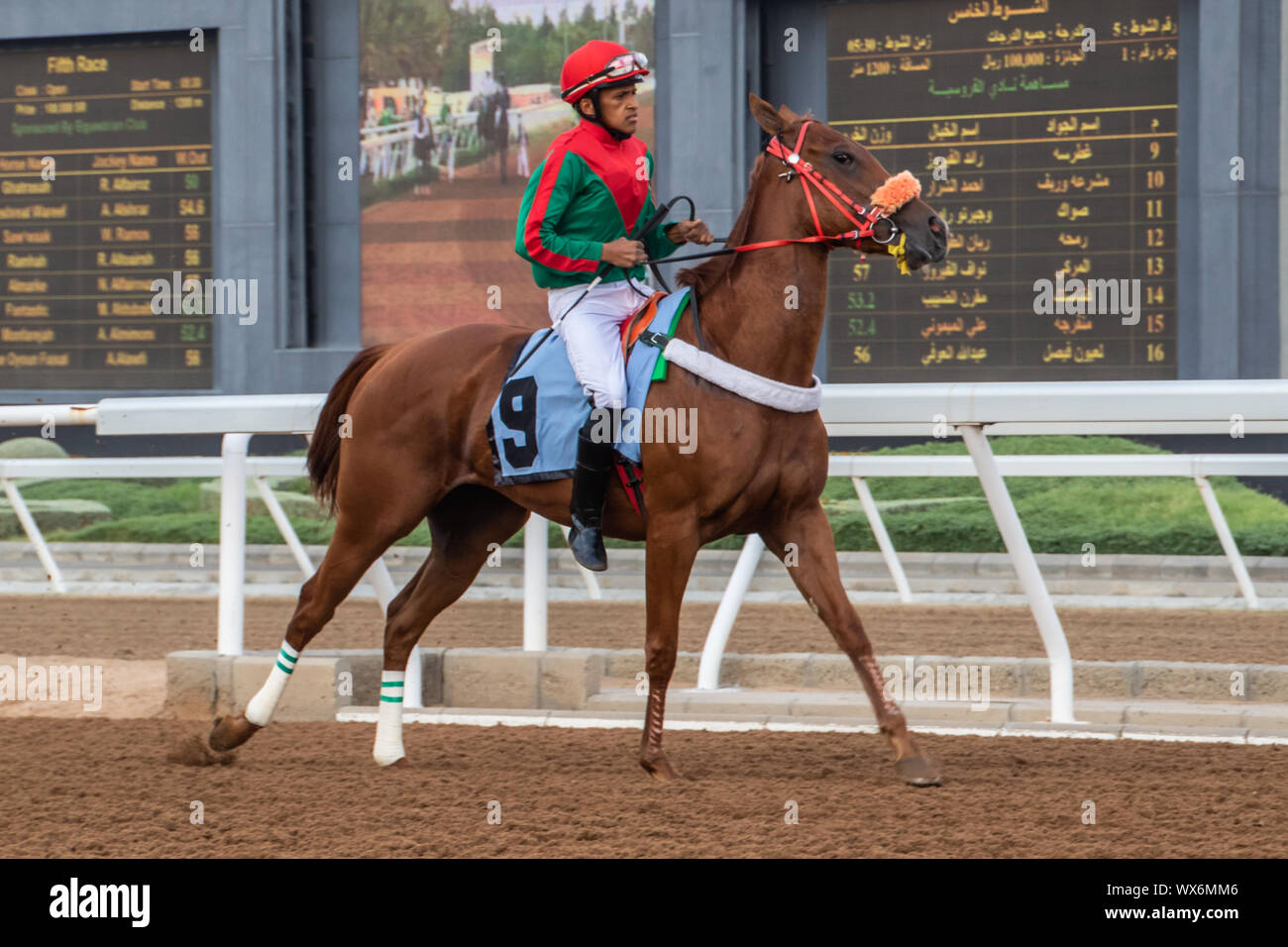 Horse Racing at King Khalid Racetrack, Taif, Saudi Arabia 28/06/2019 Stock Photo - Alamy